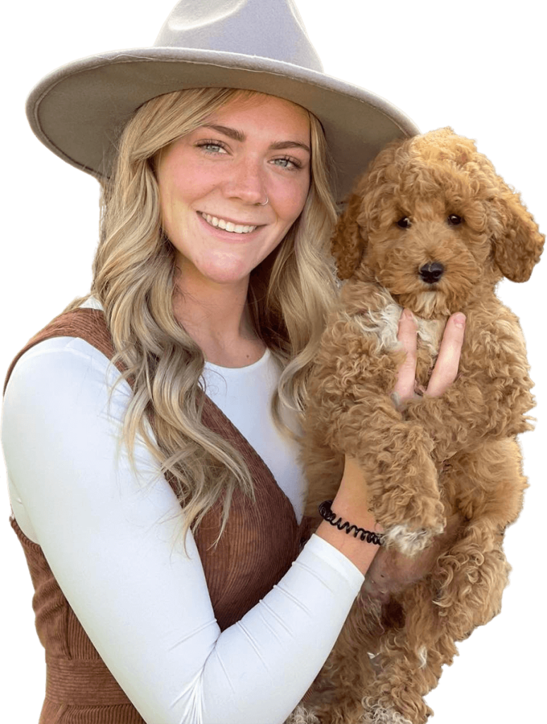 Home - Windmere Kennels is a leader in dog breeding.