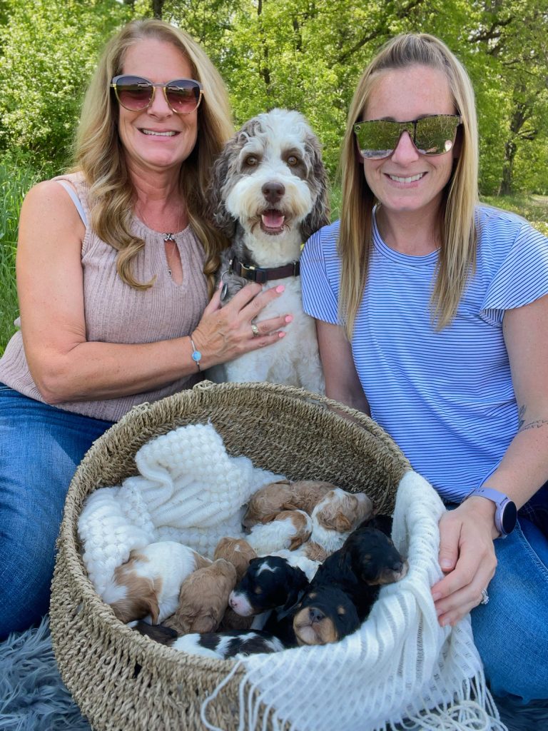 Browse Puppies - Windmere Kennels is a leader in dog breeding.